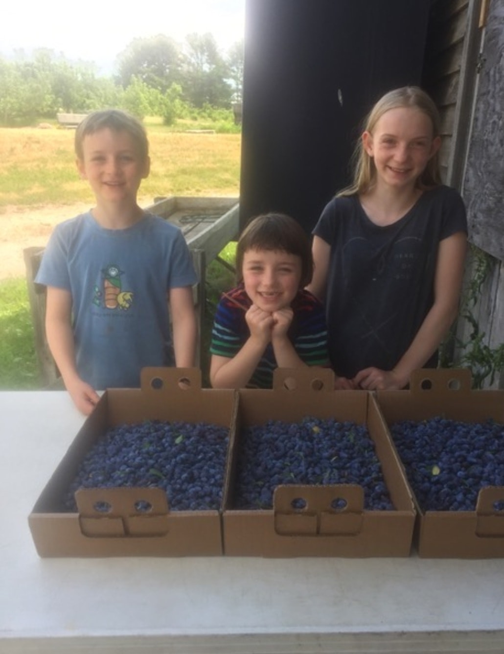 U Pick – Berry Patch Farm