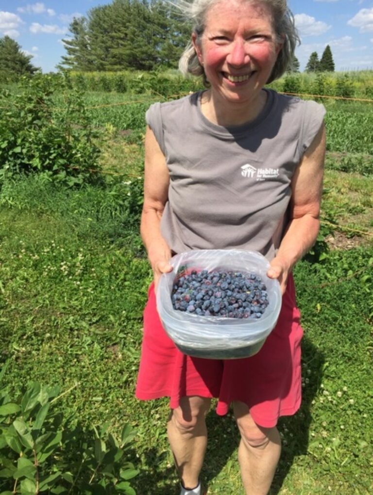 U Pick – Berry Patch Farm