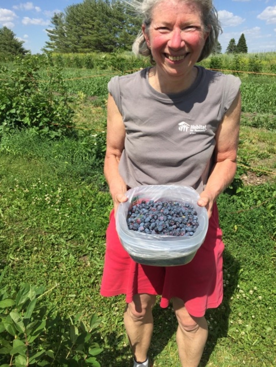 U Pick – Berry Patch Farm