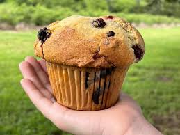 Blueberry Thunder Muffin – Berry Patch Farm