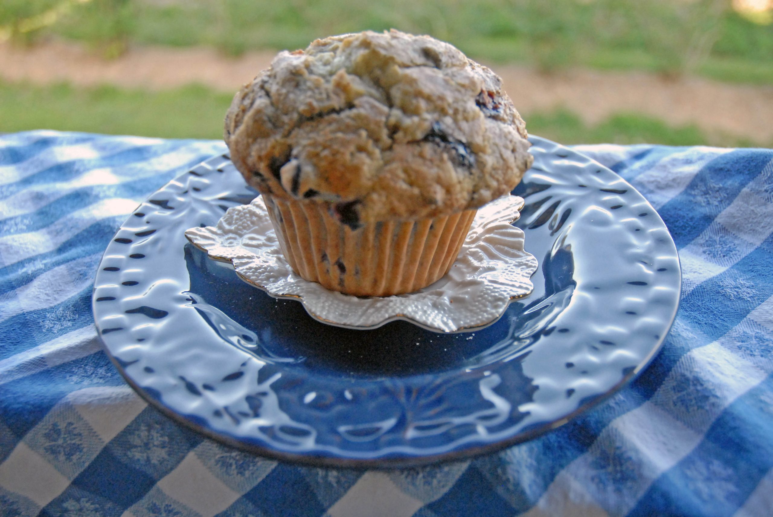 Blueberry Thunder Muffin – Berry Patch Farm